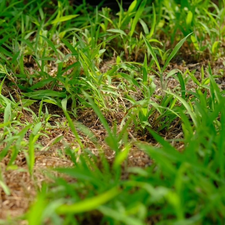 ハンズスタッフのリアルを発信！スタッフインフルエンサーの投稿をチェック！ - キャンペーン - ハンズ